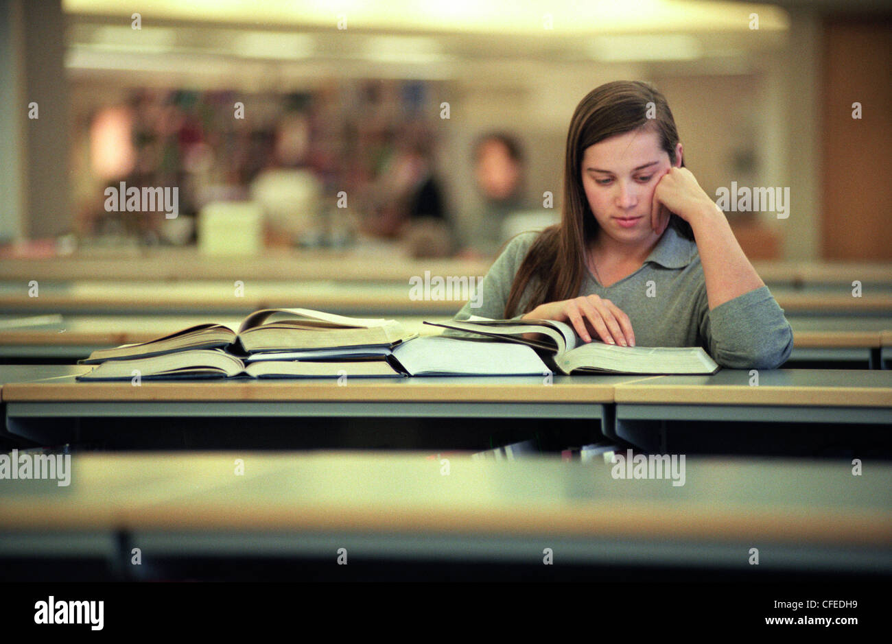 A girl undergraduate reading in the Brighton University library Stock ...