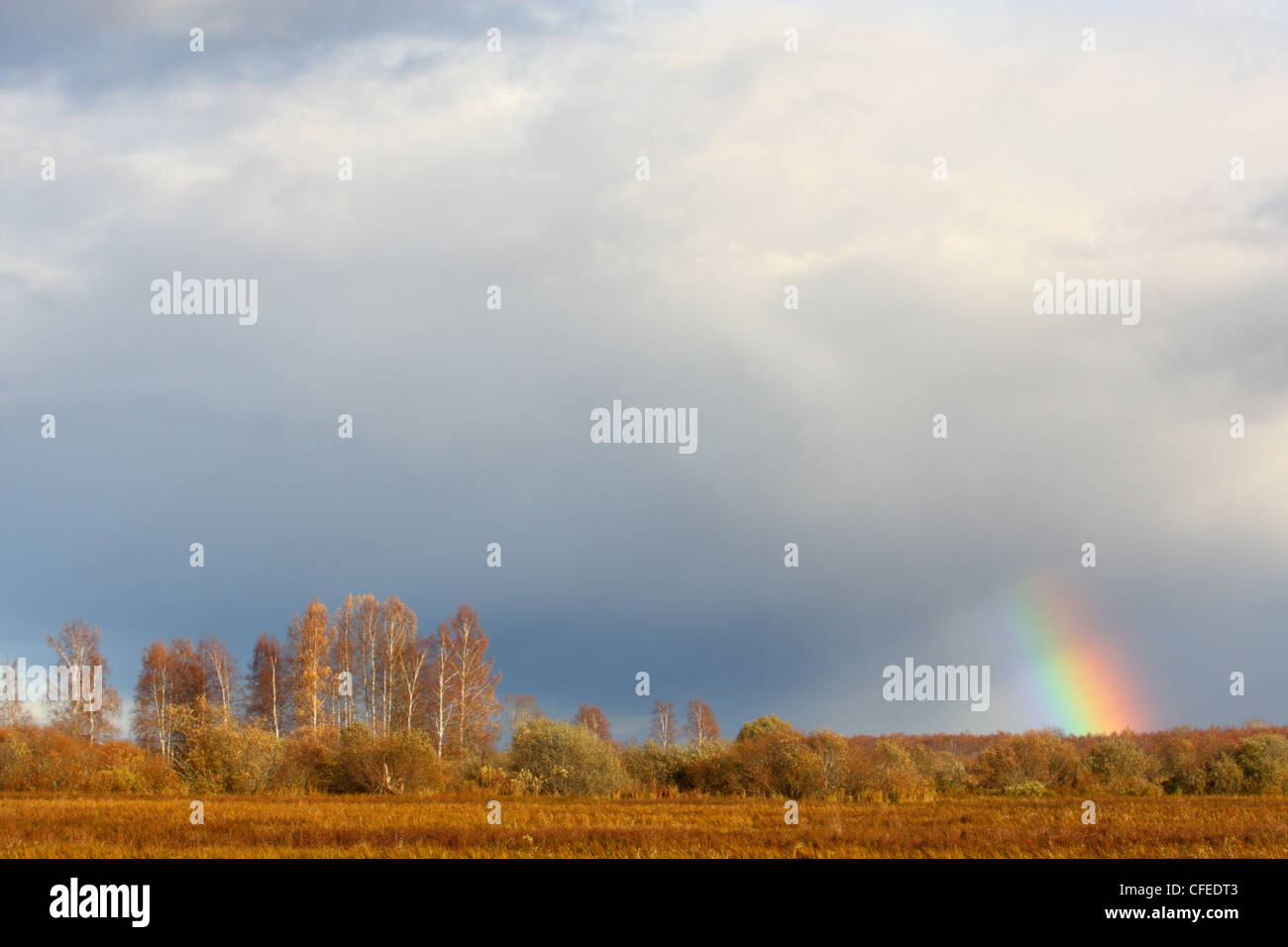 Floodplain hi-res stock photography and images - Alamy