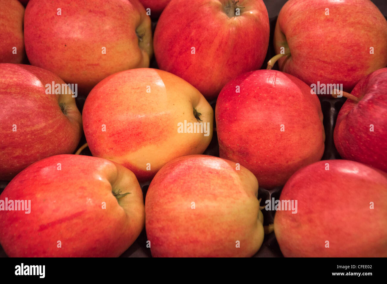 Katy apples hi-res stock photography and images - Alamy