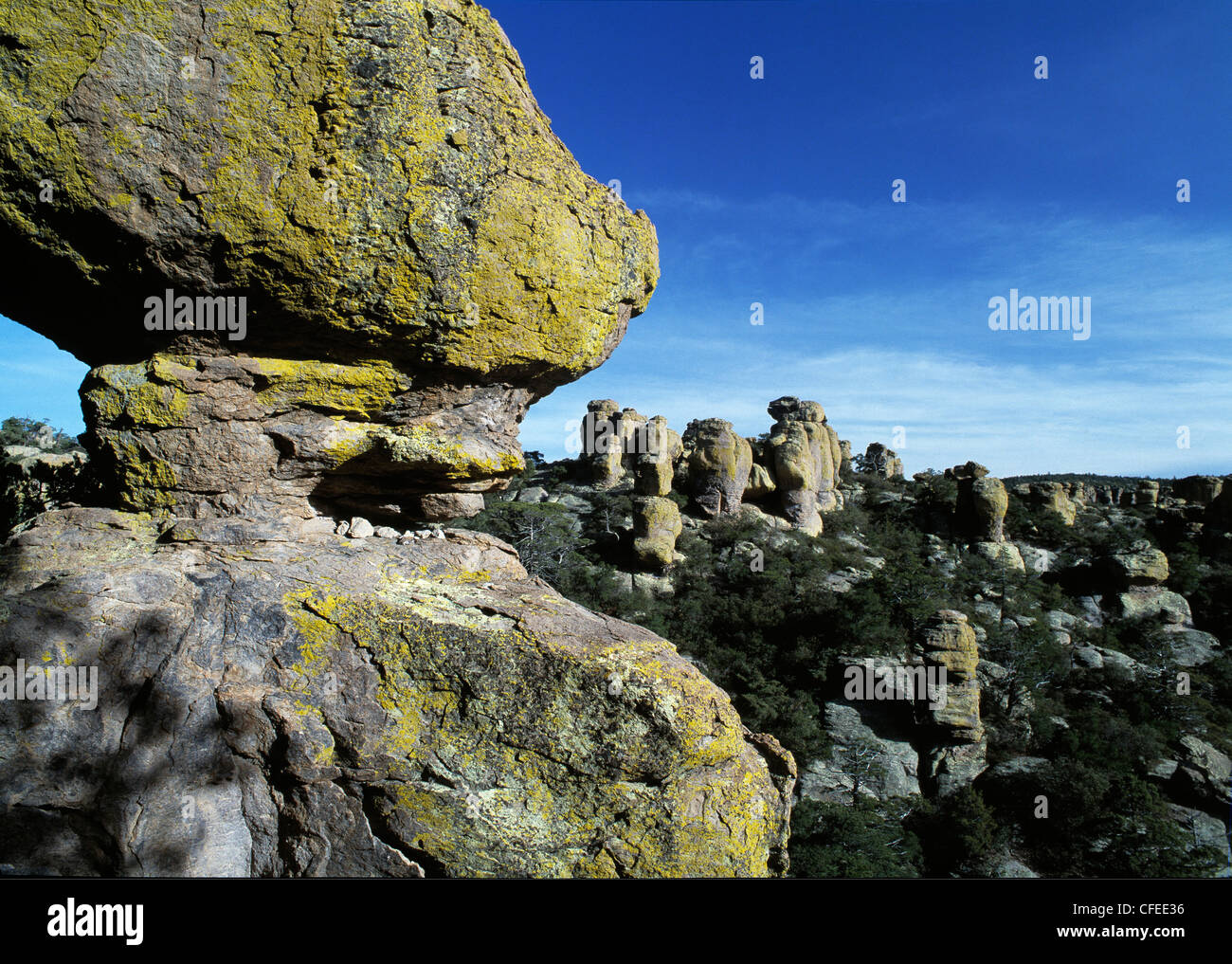 Eroded rock formations in the Chiricahua National Monument, Arizona ...