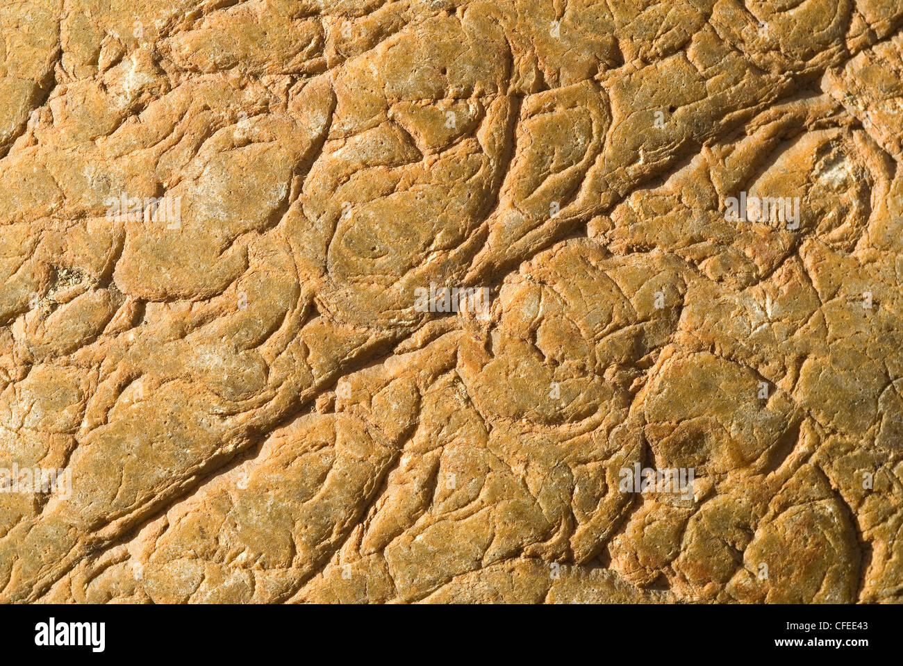 Scars in a riverbank stone Stock Photo - Alamy