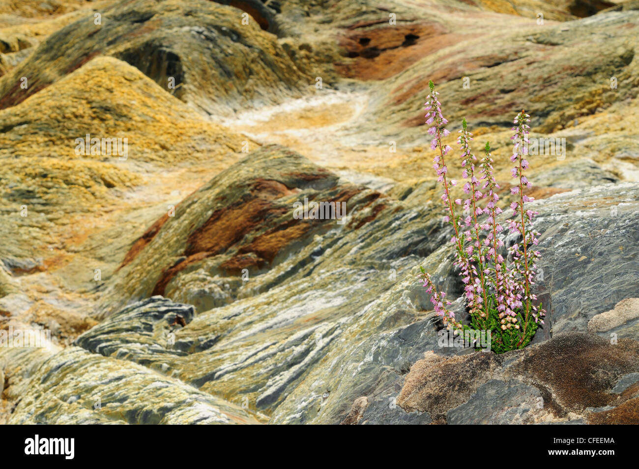 Harsh environment hi-res stock photography and images - Alamy