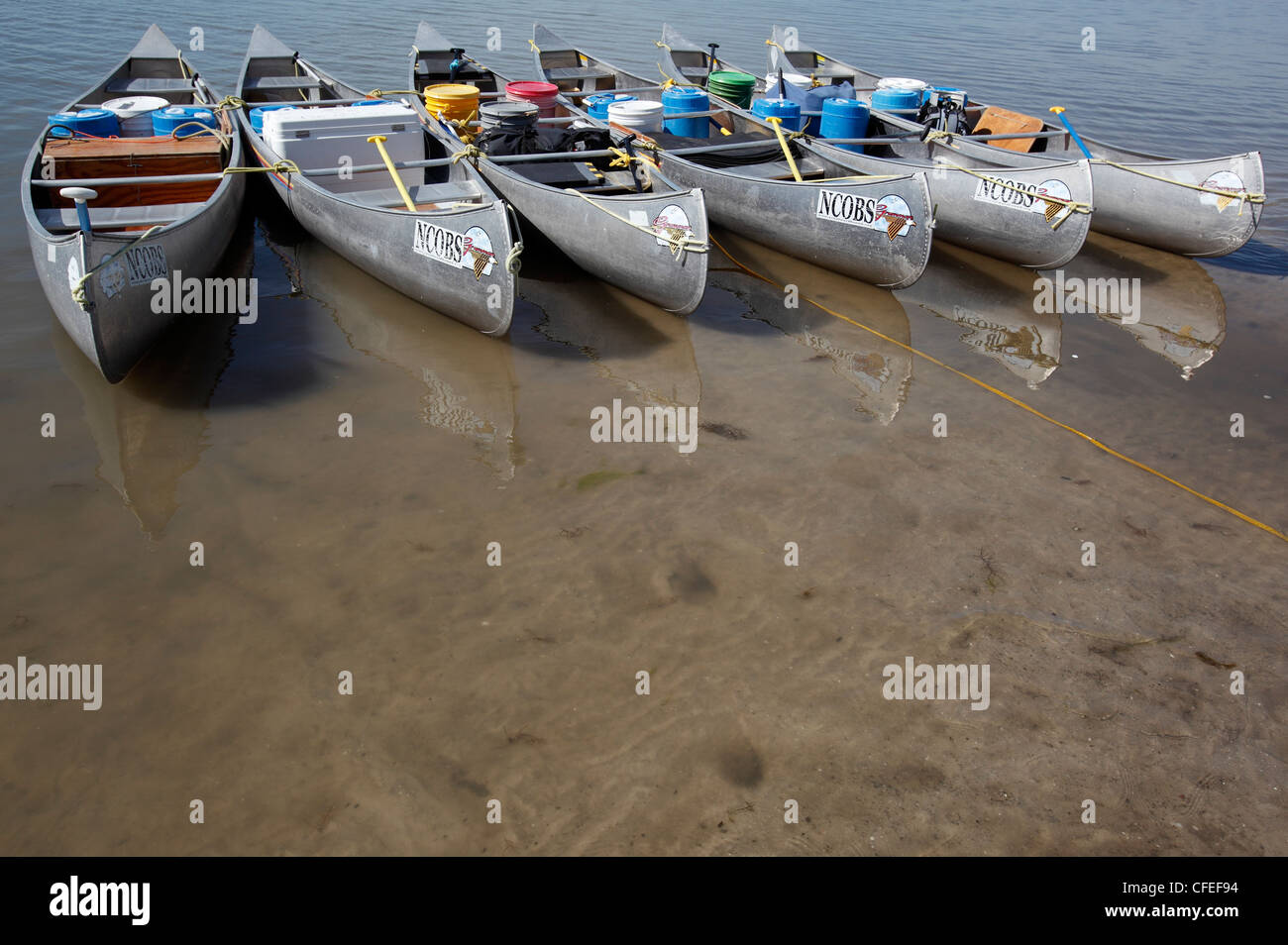 Canoes in a raft, Everglades City, Florida Stock Photo - Alamy