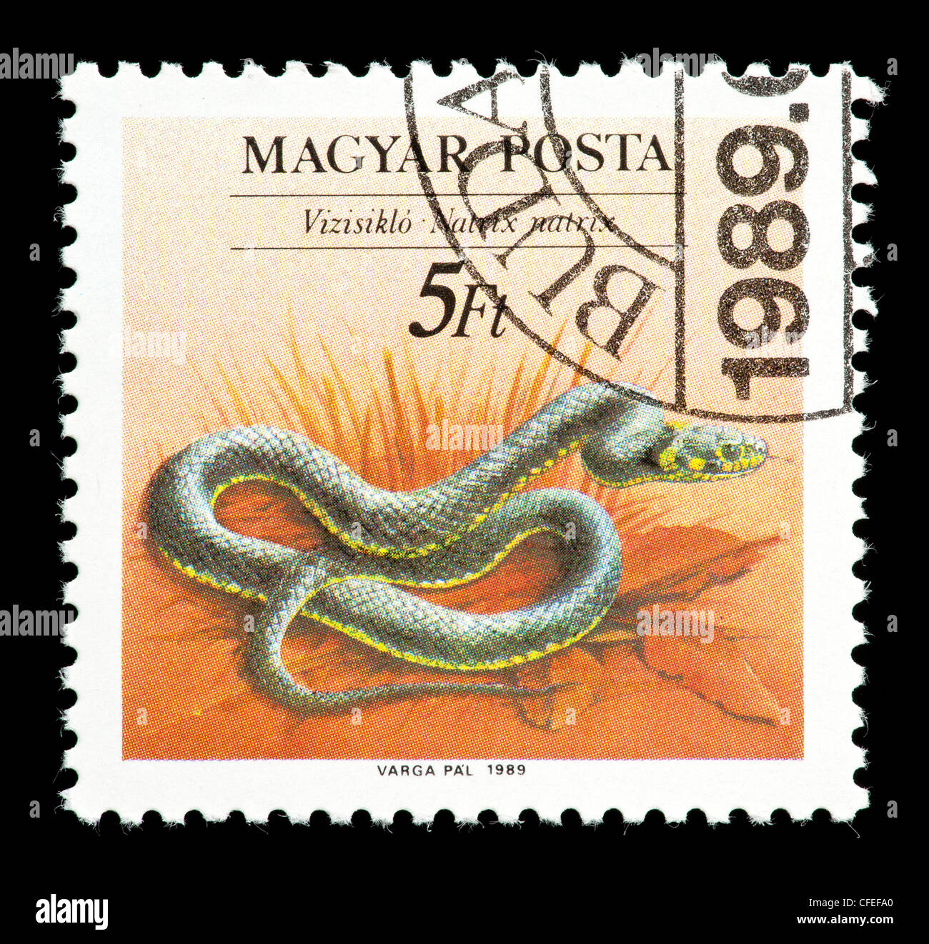 Postage stamp from Hungary depicting a European grass snake (Natrix ...