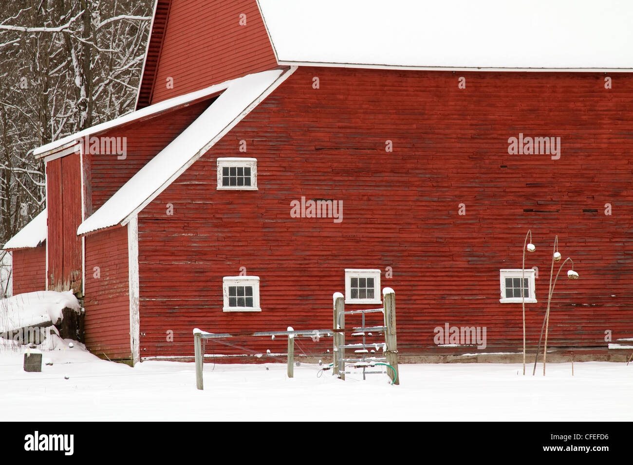Red barn in New Hampshire is covered by New England snow after a winter ...