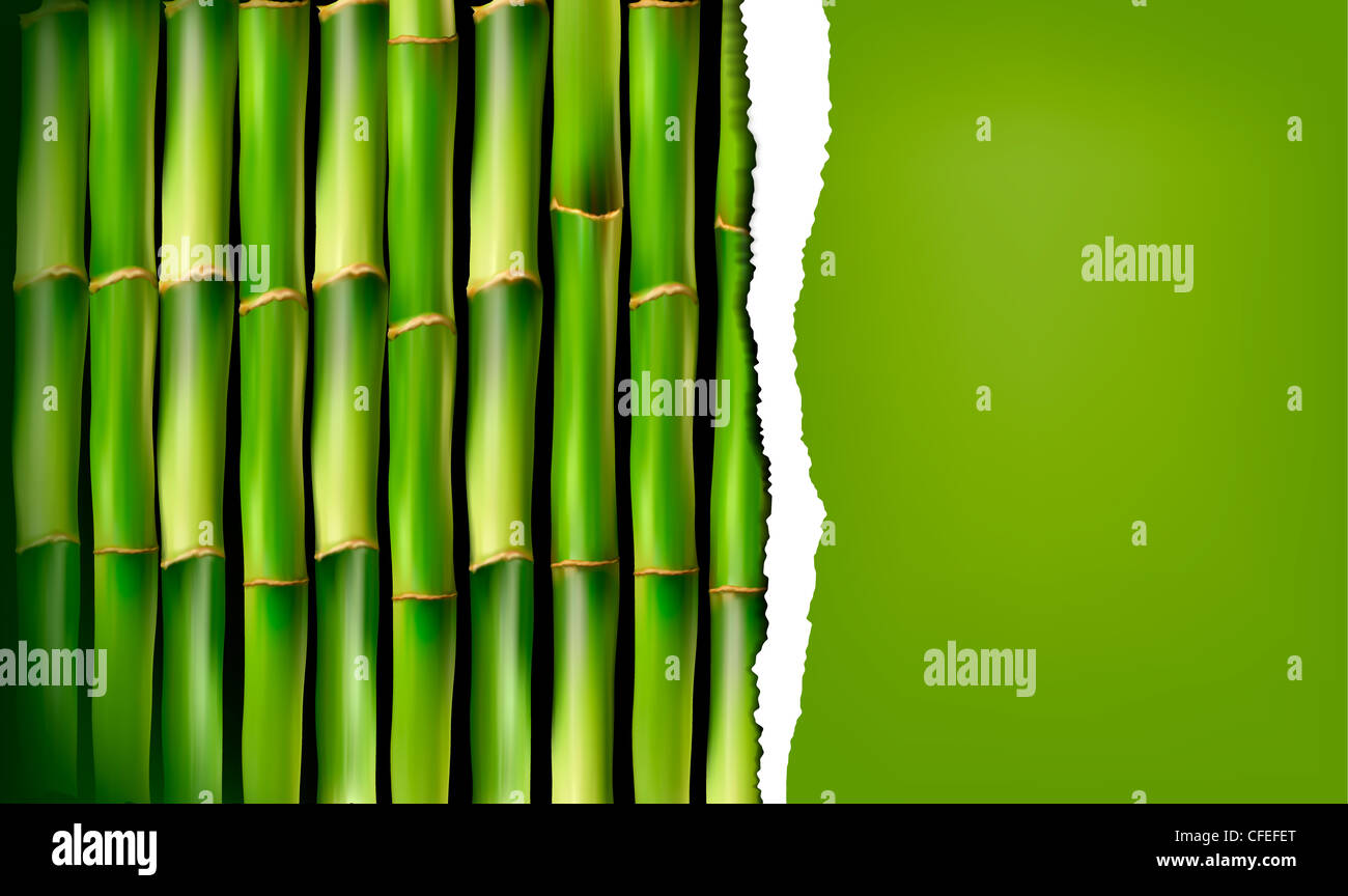 Bamboo background with ripped paper Stock Photo - Alamy
