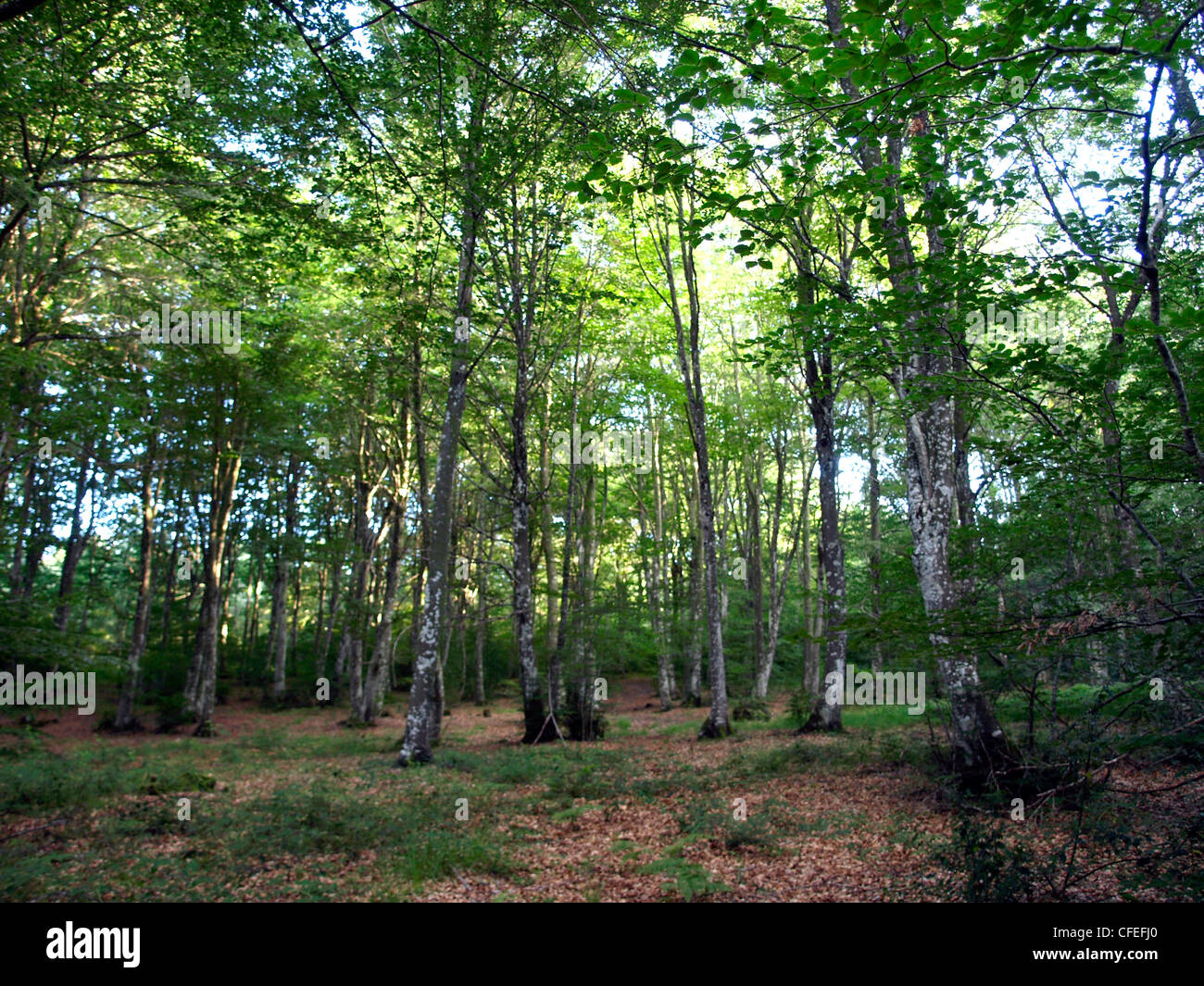 Urbasa range hi-res stock photography and images - Alamy