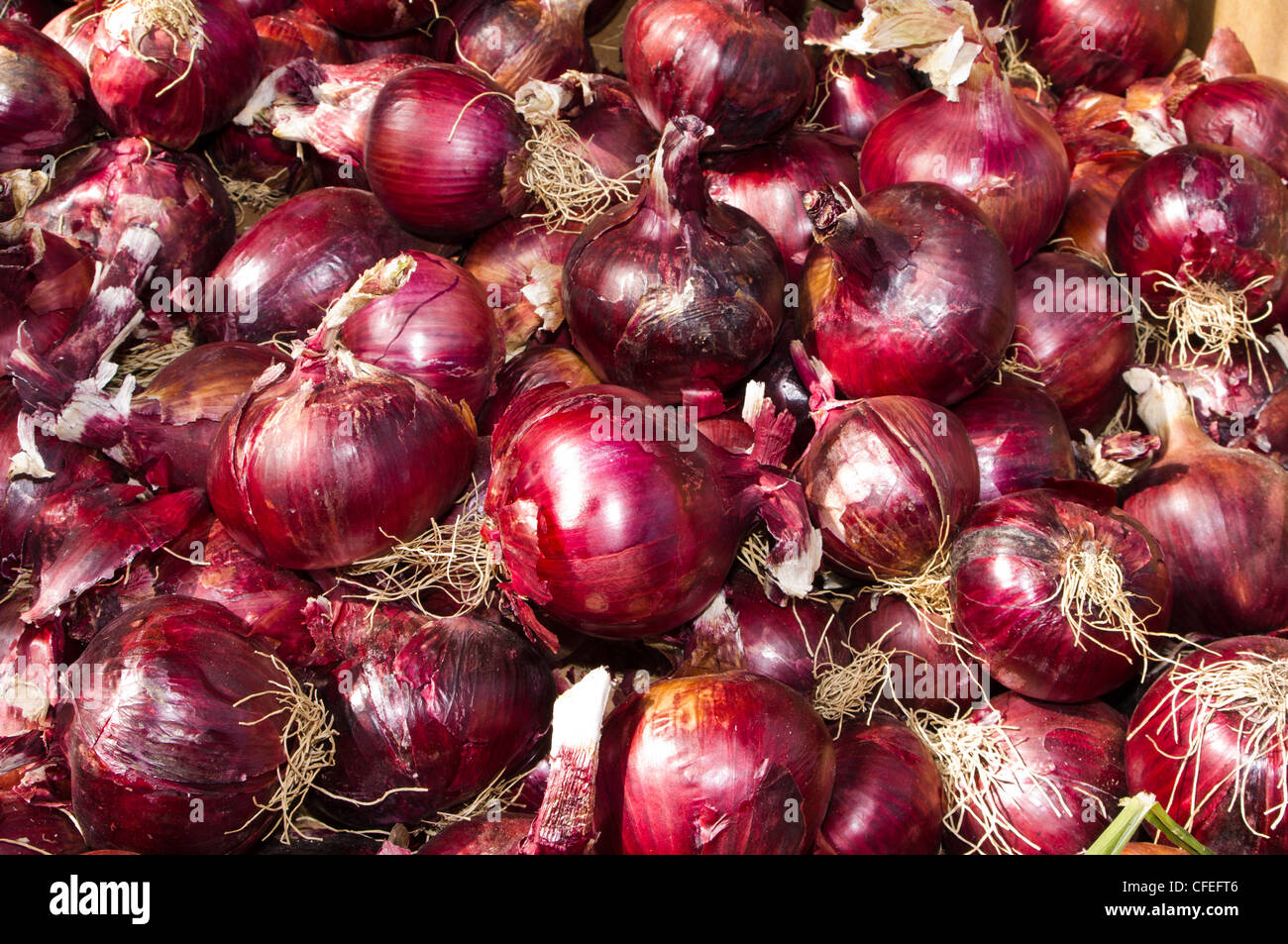 Colorful dried red onions on display at the farmers market Stock Photo ...
