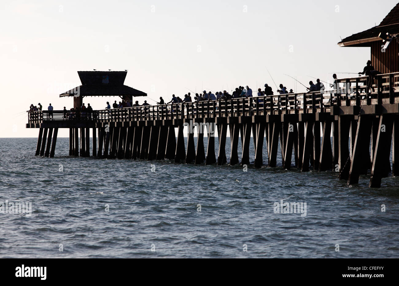 People fishing from the pier in Naples, Florida Stock Photo - Alamy