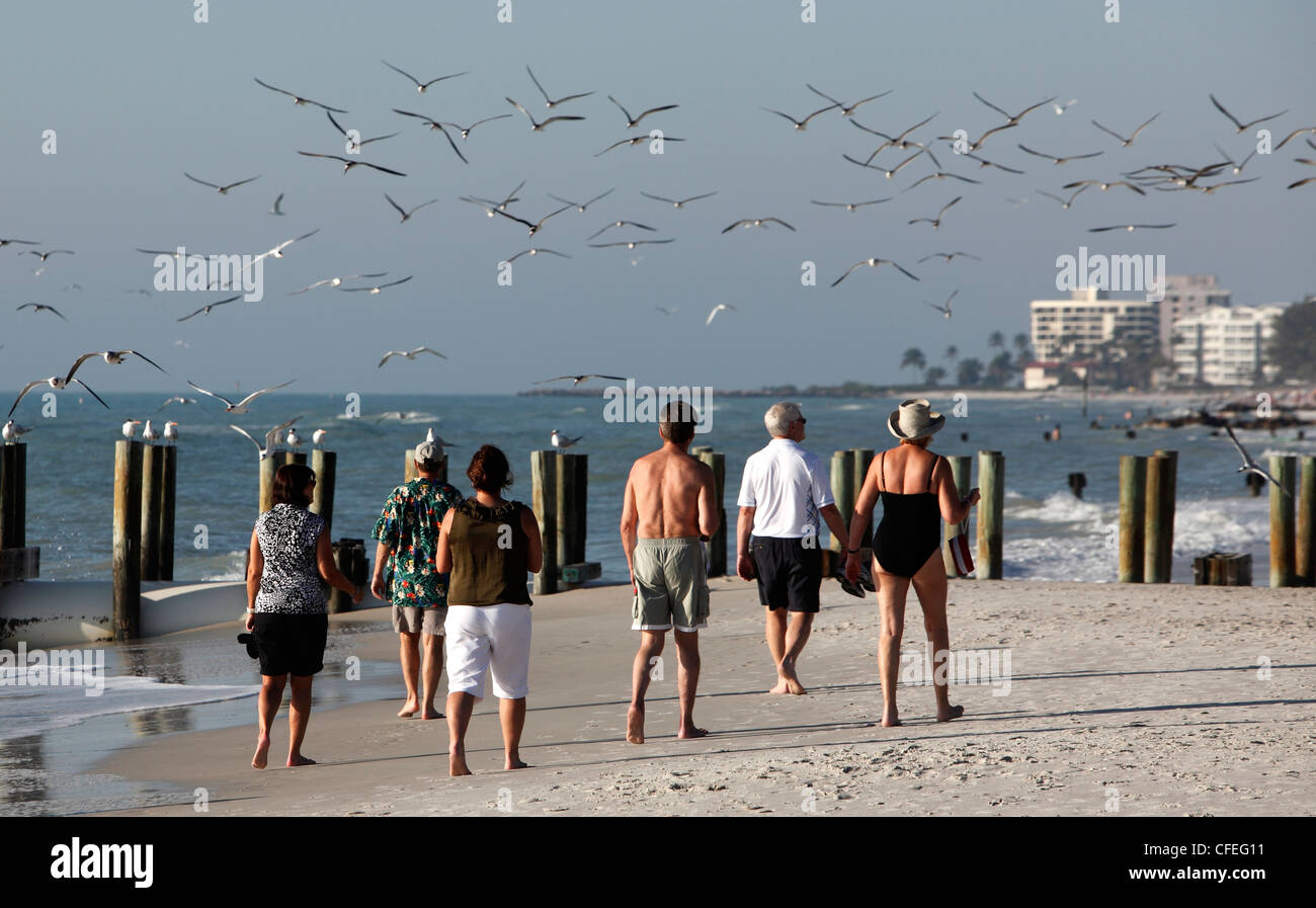 People on the beach, Naples, Florida Stock Photo - Alamy