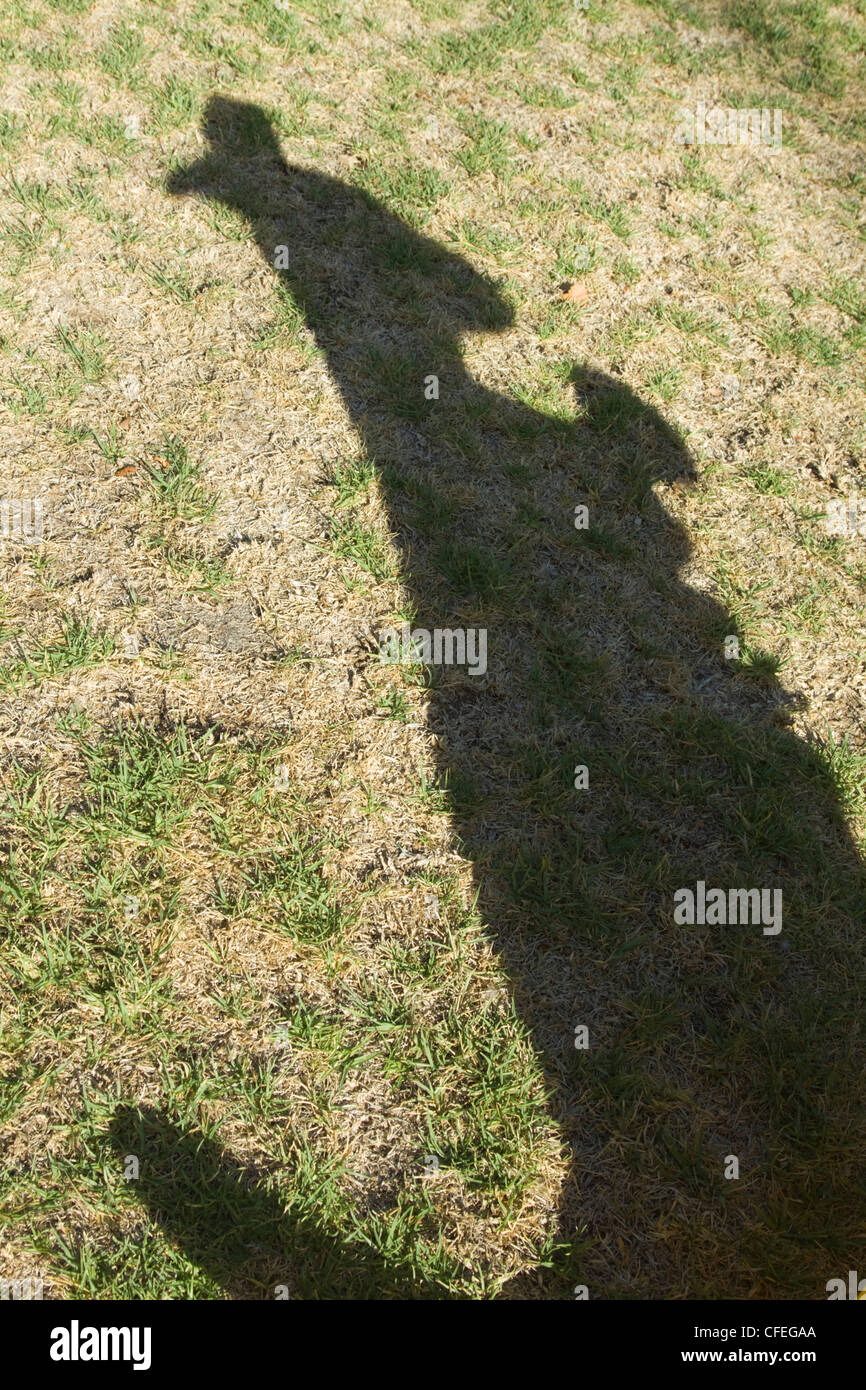Kangaroo Shadow. Adelaide, Australia Stock Photo - Alamy