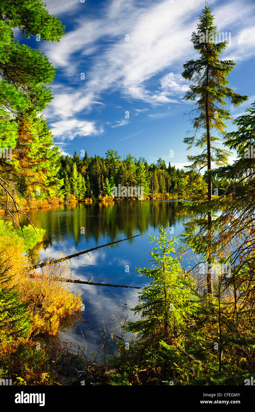 Evergreen trees reflecting lake hi-res stock photography and images - Alamy