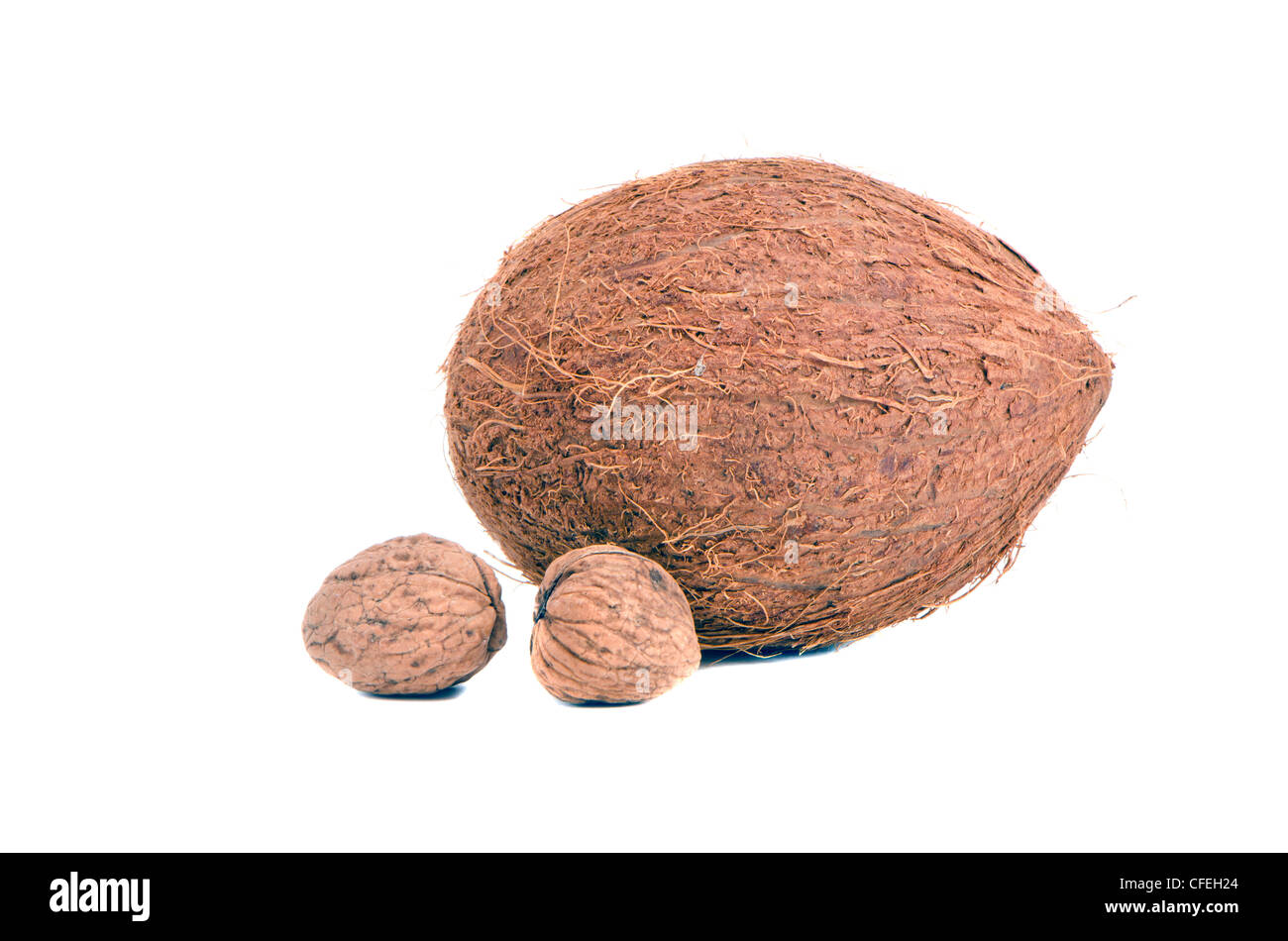 Palm Nut High Resolution Stock Photography and Images - Alamy
