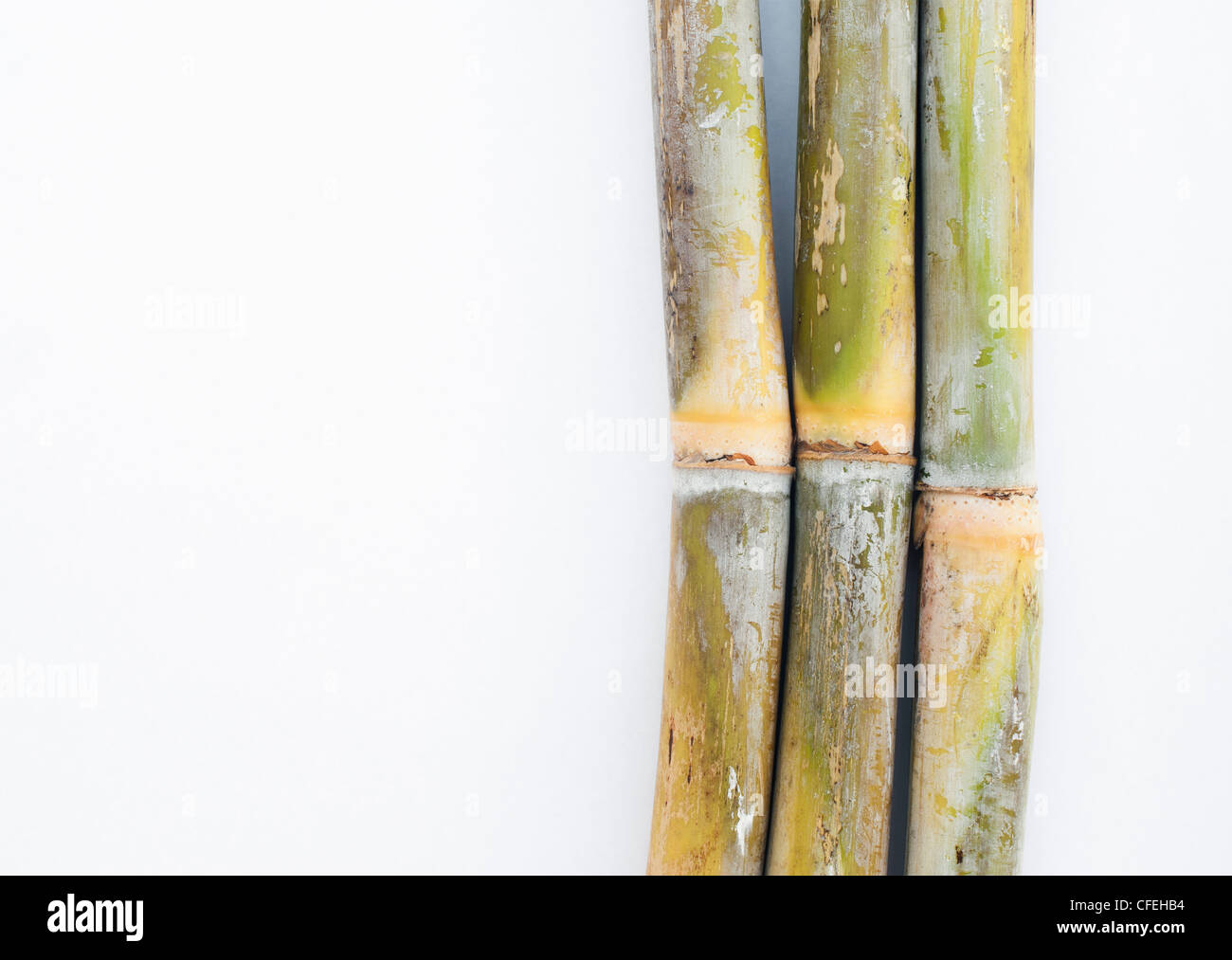 Sugarcane hi-res stock photography and images - Alamy