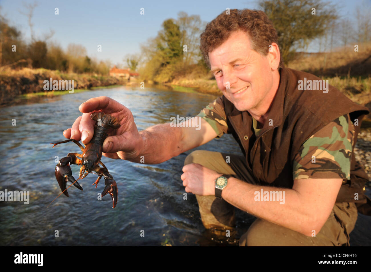 American signal crayfish uk hi-res stock photography and images - Alamy