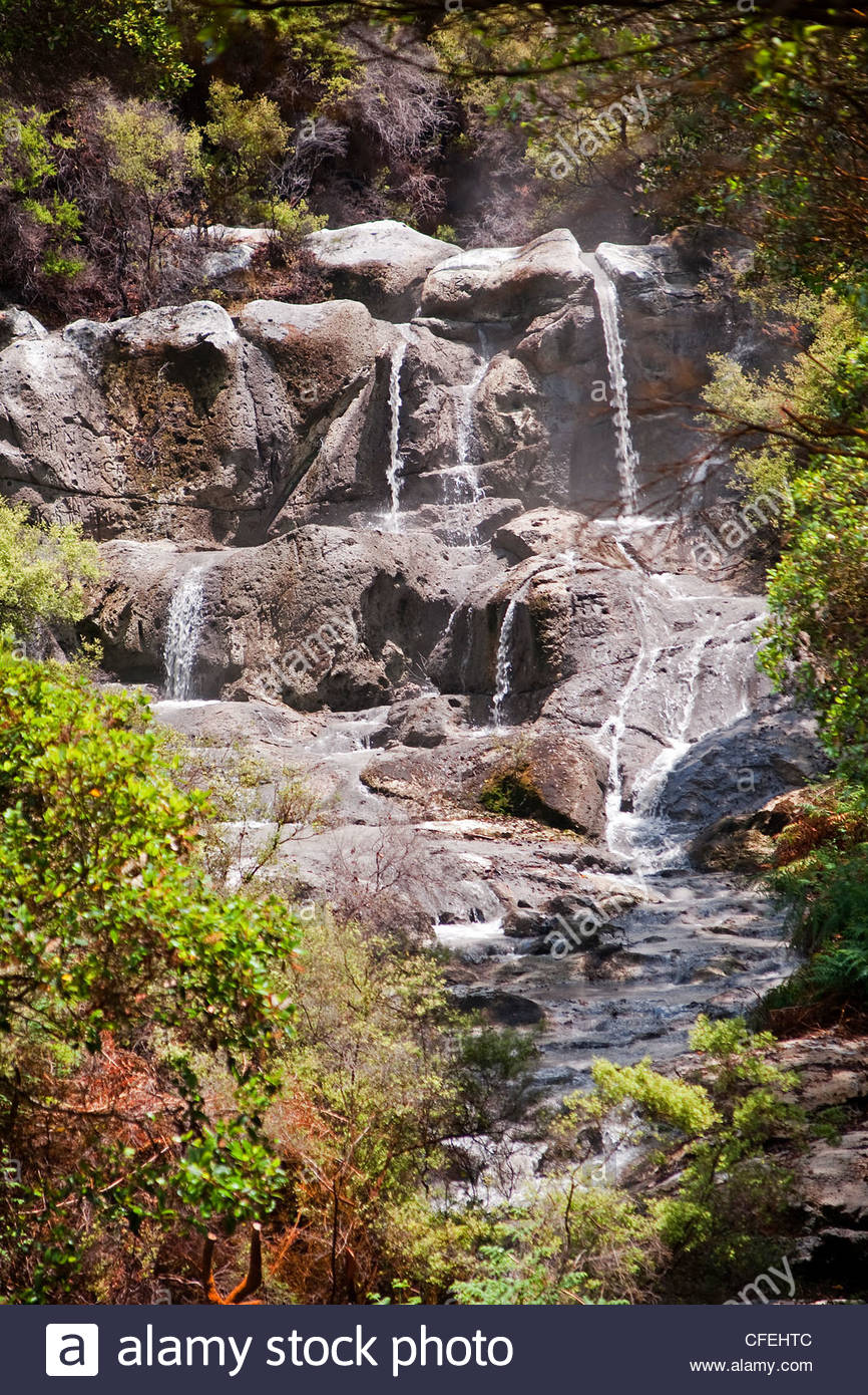 Hells Gate New Zealand Stock Photos & Hells Gate New Zealand Stock ...