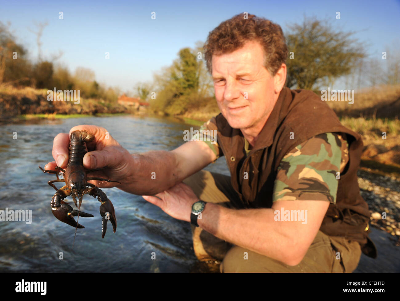 The invasive American Signal Crayfish caught by John Hounslow the river ...