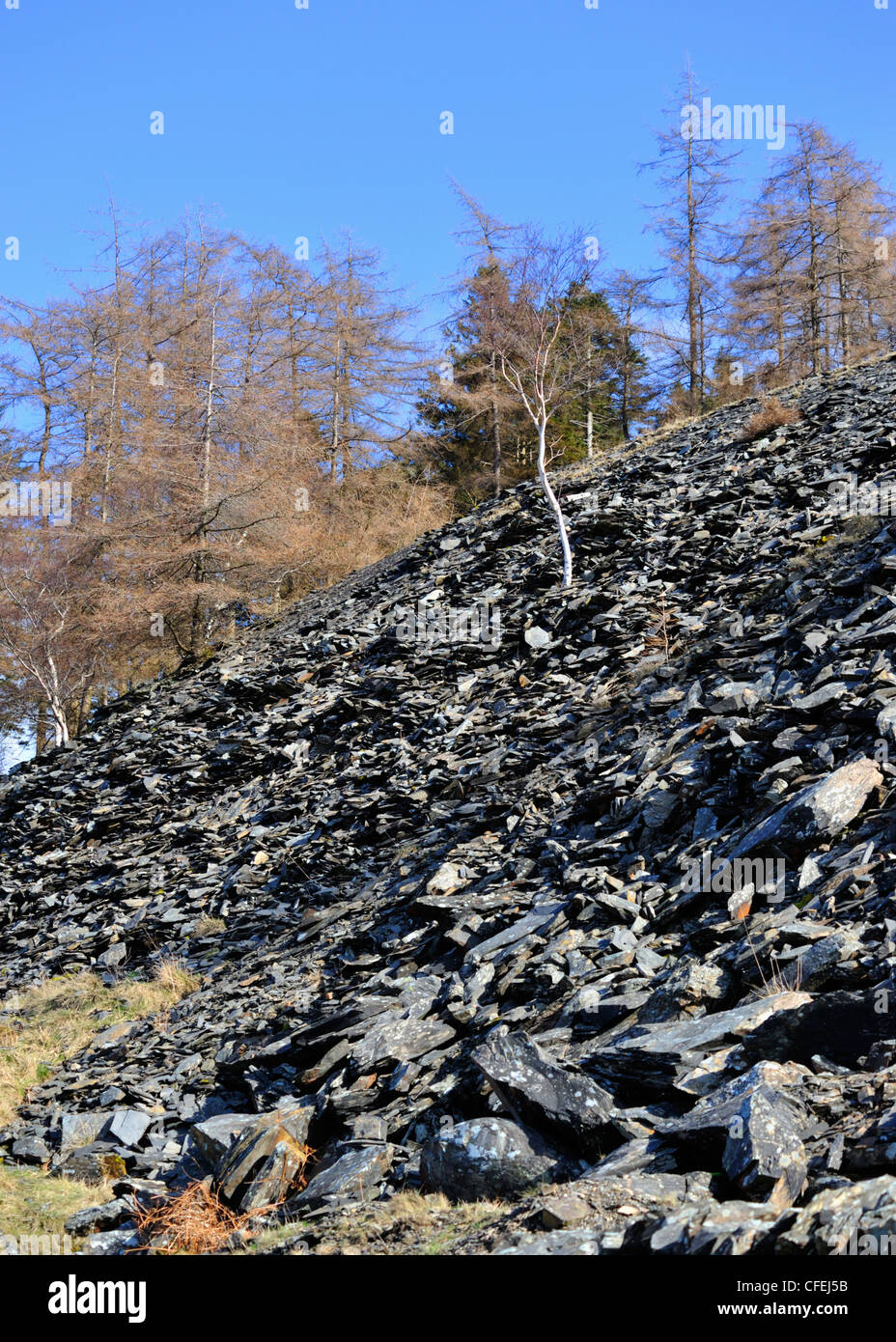 Spoil heap. Disused slate quarry, Applethwaite Common, Lake District ...