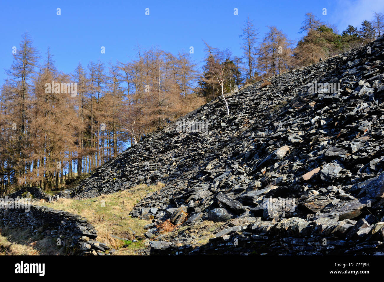 Spoil heap. Disused slate quarry, Applethwaite Common, Lake District ...