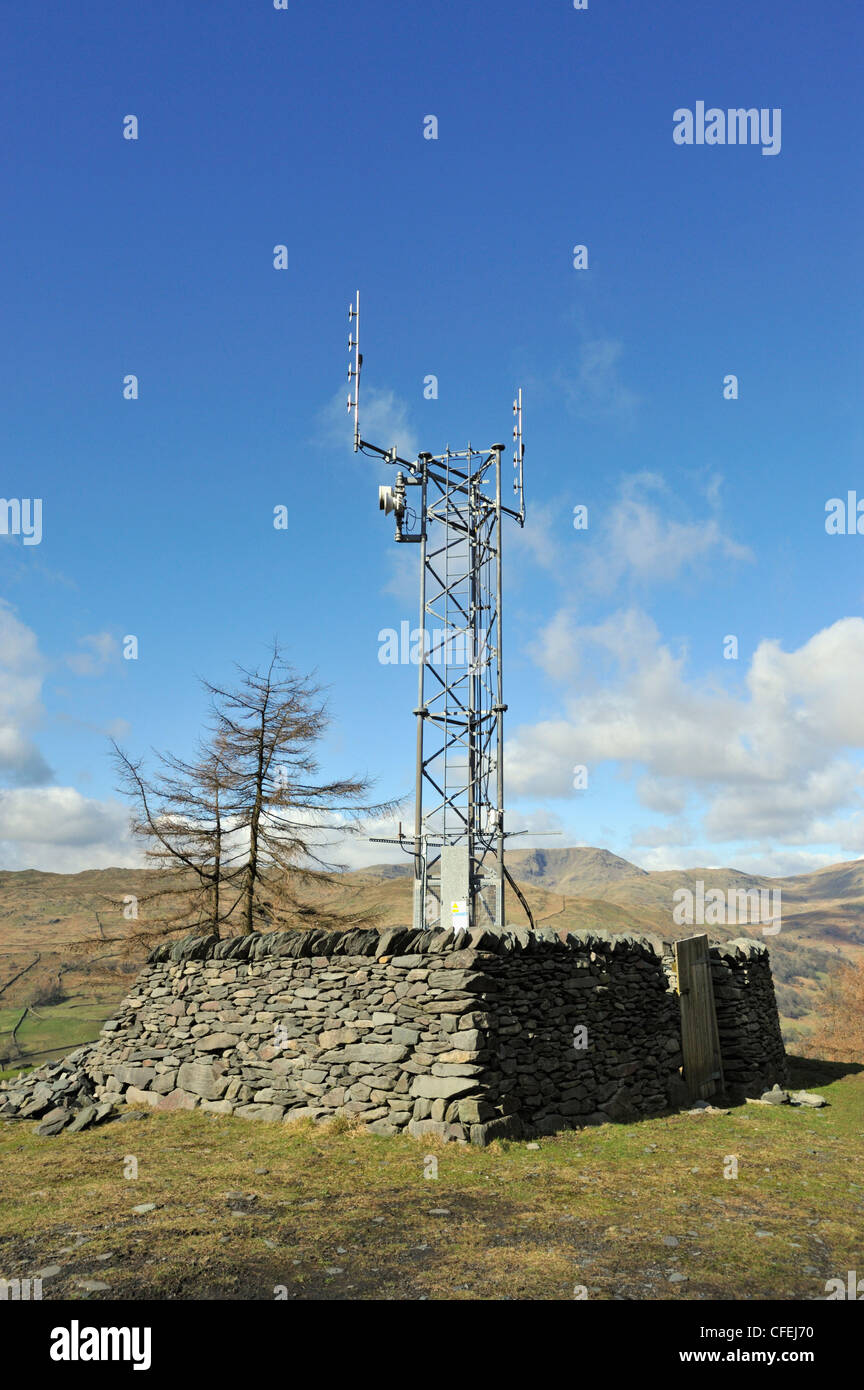 Common of mast hi-res stock photography and images - Alamy