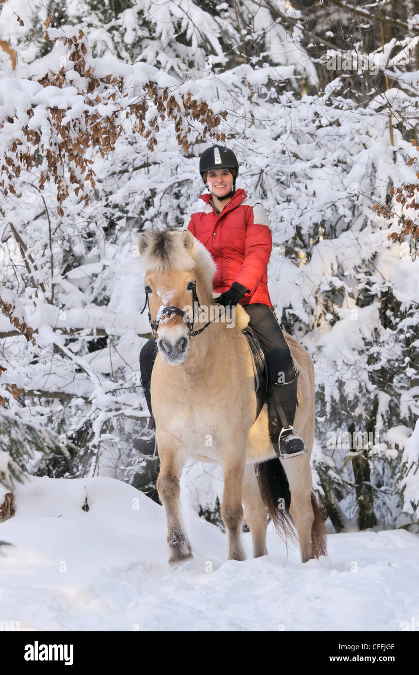 Norwegian girl riding a horse hi-res stock photography and images - Alamy