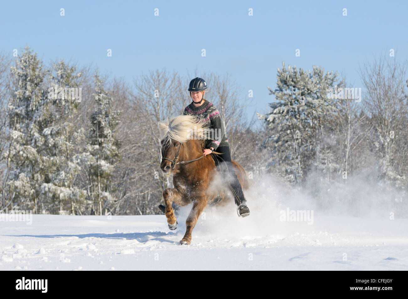 Horse riding rider winter snow leisure people recreation female animal ...