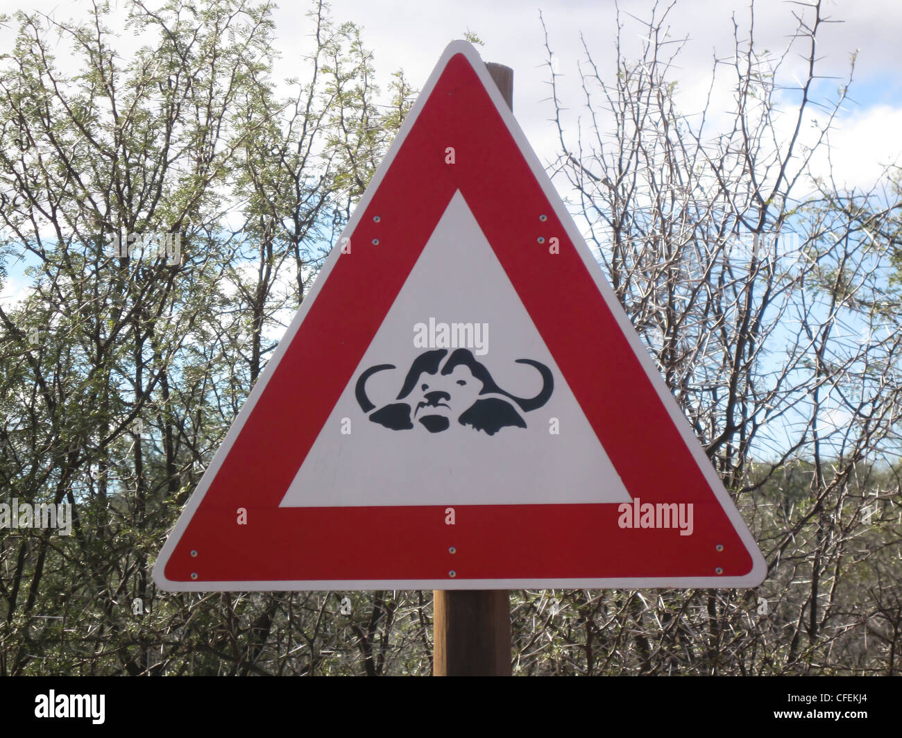 Buffalo warning sign hi-res stock photography and images - Alamy
