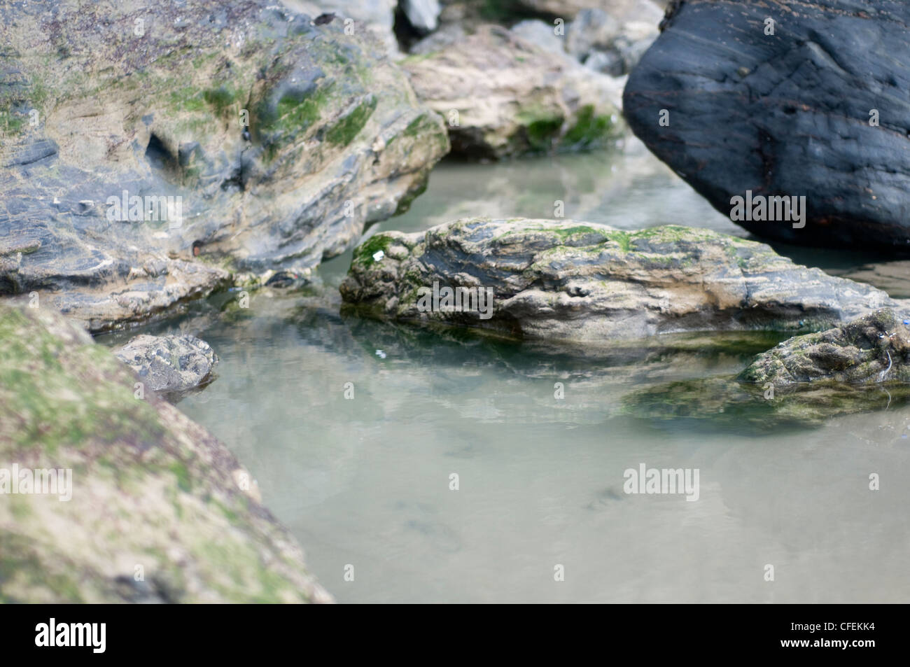 Rock pools, rocks surrounded by clear water and sandy bottom Stock ...