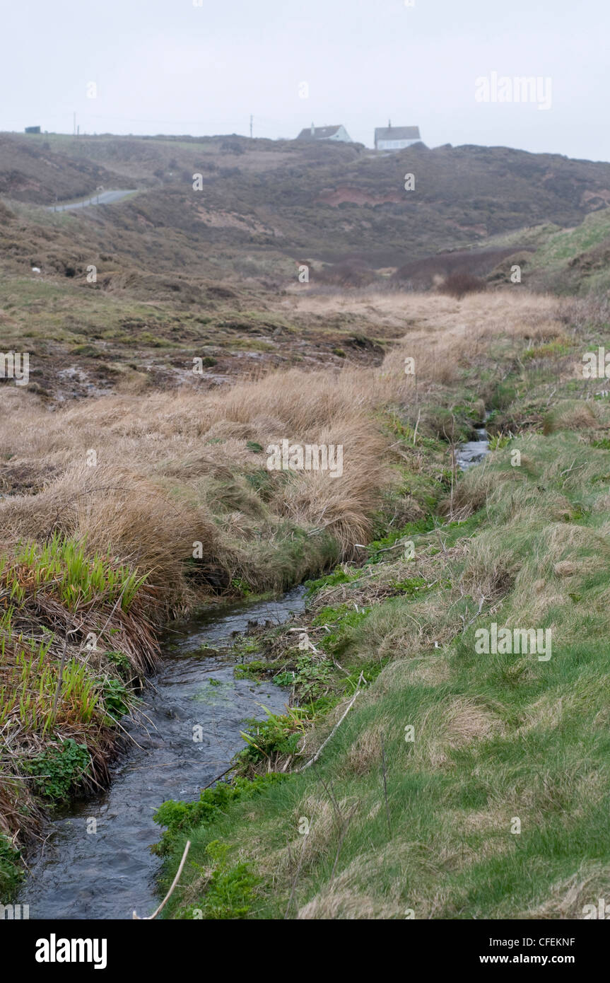 Grassland with stream hi-res stock photography and images - Alamy
