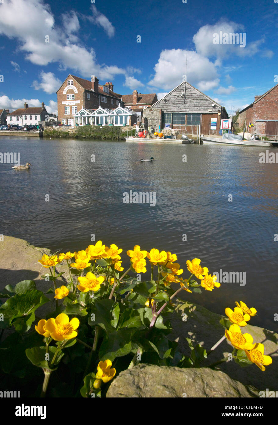 Wareham Quay, River Frome, Wareham, Dorset, England, UK Stock Photo - Alamy