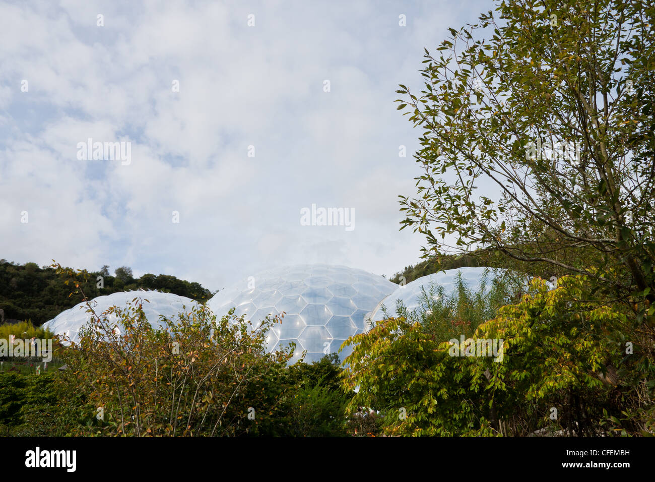 The Eden Project in Cornwall Stock Photo - Alamy