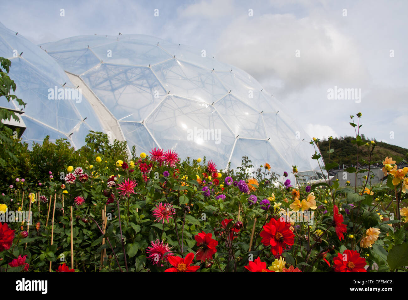The Eden Project in Cornwall Stock Photo - Alamy