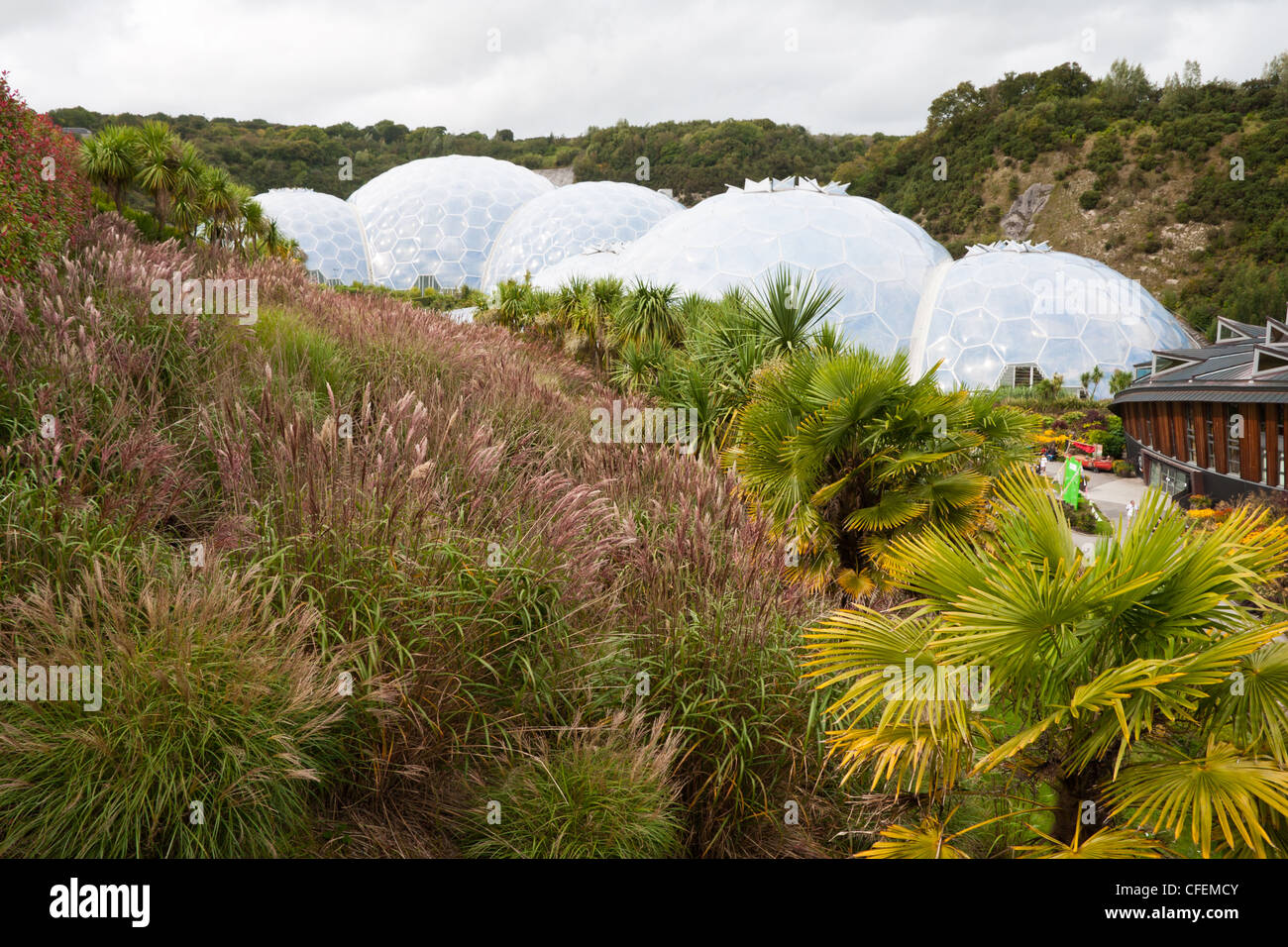 The Eden Project in Cornwall Stock Photo - Alamy