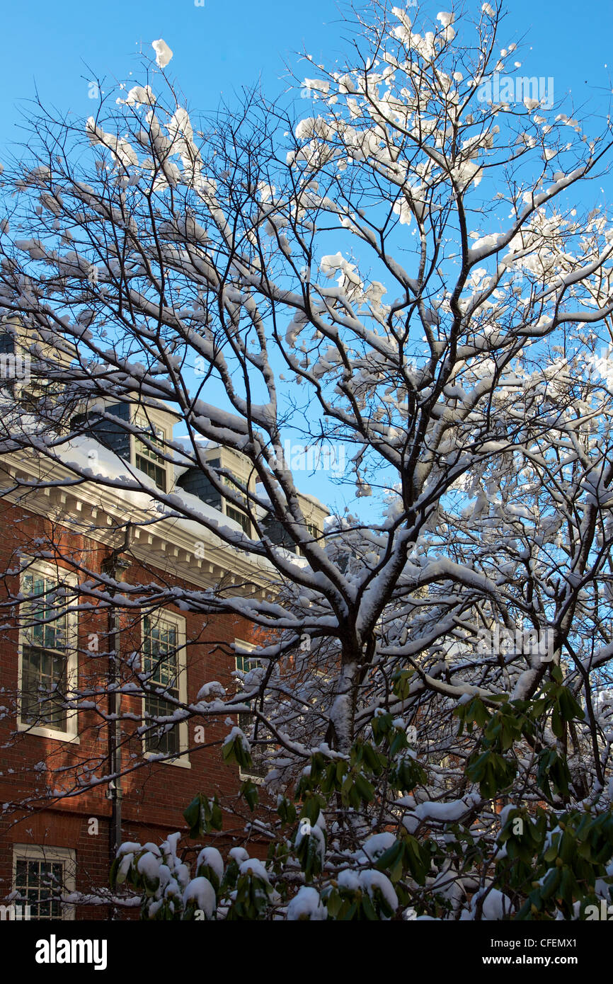 Harvard university students snow hi-res stock photography and images ...