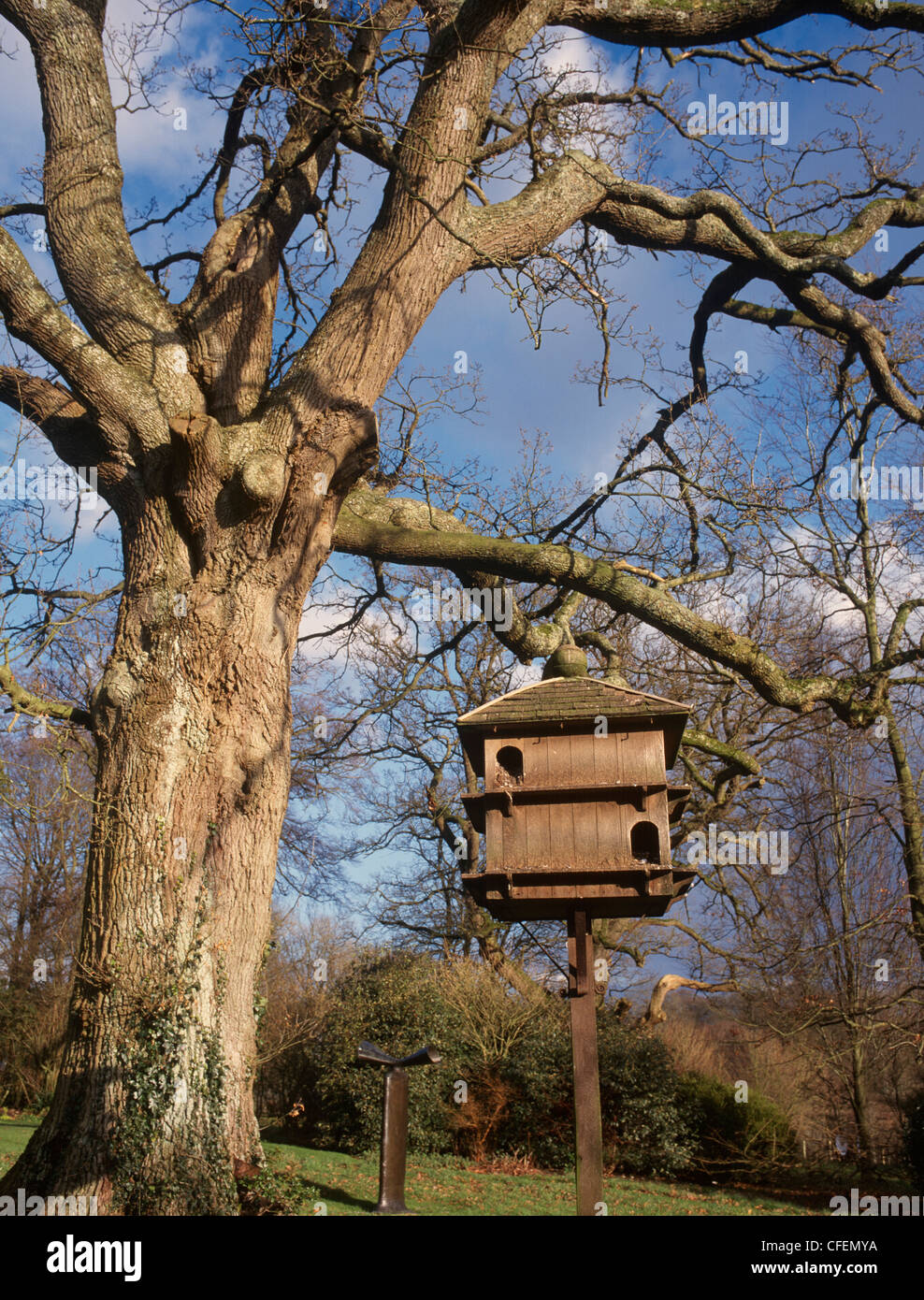 Roche Court Wilts Tree Bird Box Stock Photo - Alamy