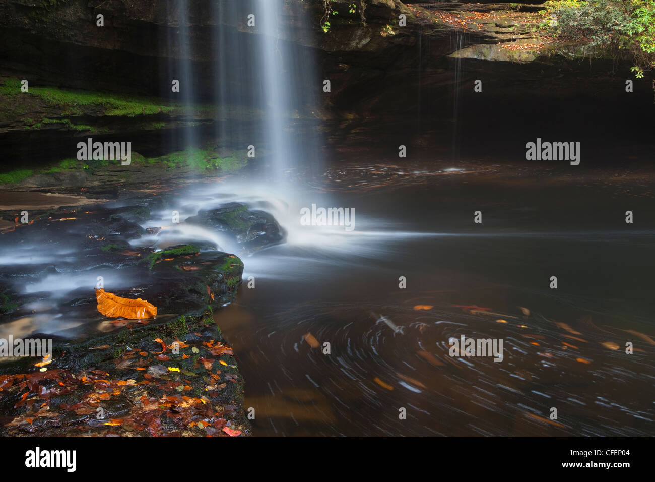 Fall colors and waterfall in the Sipsey Wilderness, Bankhead National ...