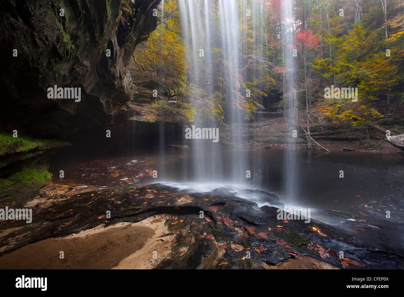 Fall colors and waterfall in the Sipsey Wilderness, Bankhead National ...
