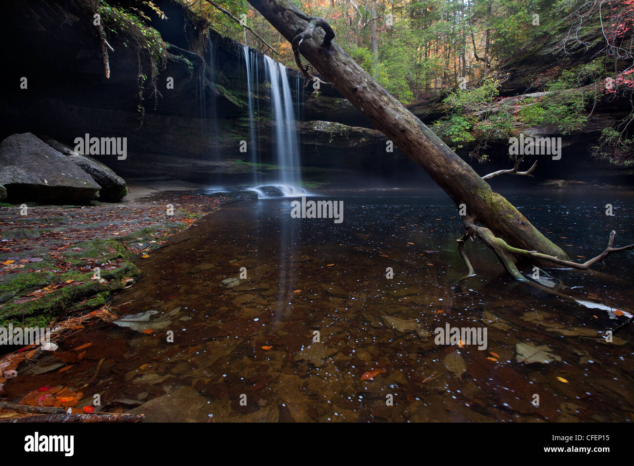 Fall colors and waterfall in the Sipsey Wilderness, Bankhead National ...