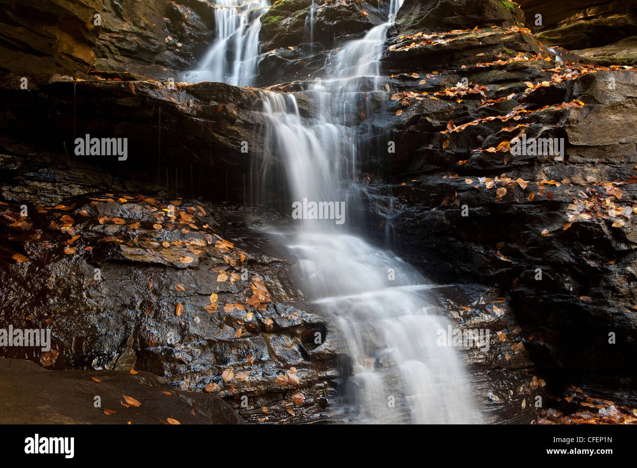 Fall colors and waterfall in the Sipsey Wilderness, Bankhead National ...
