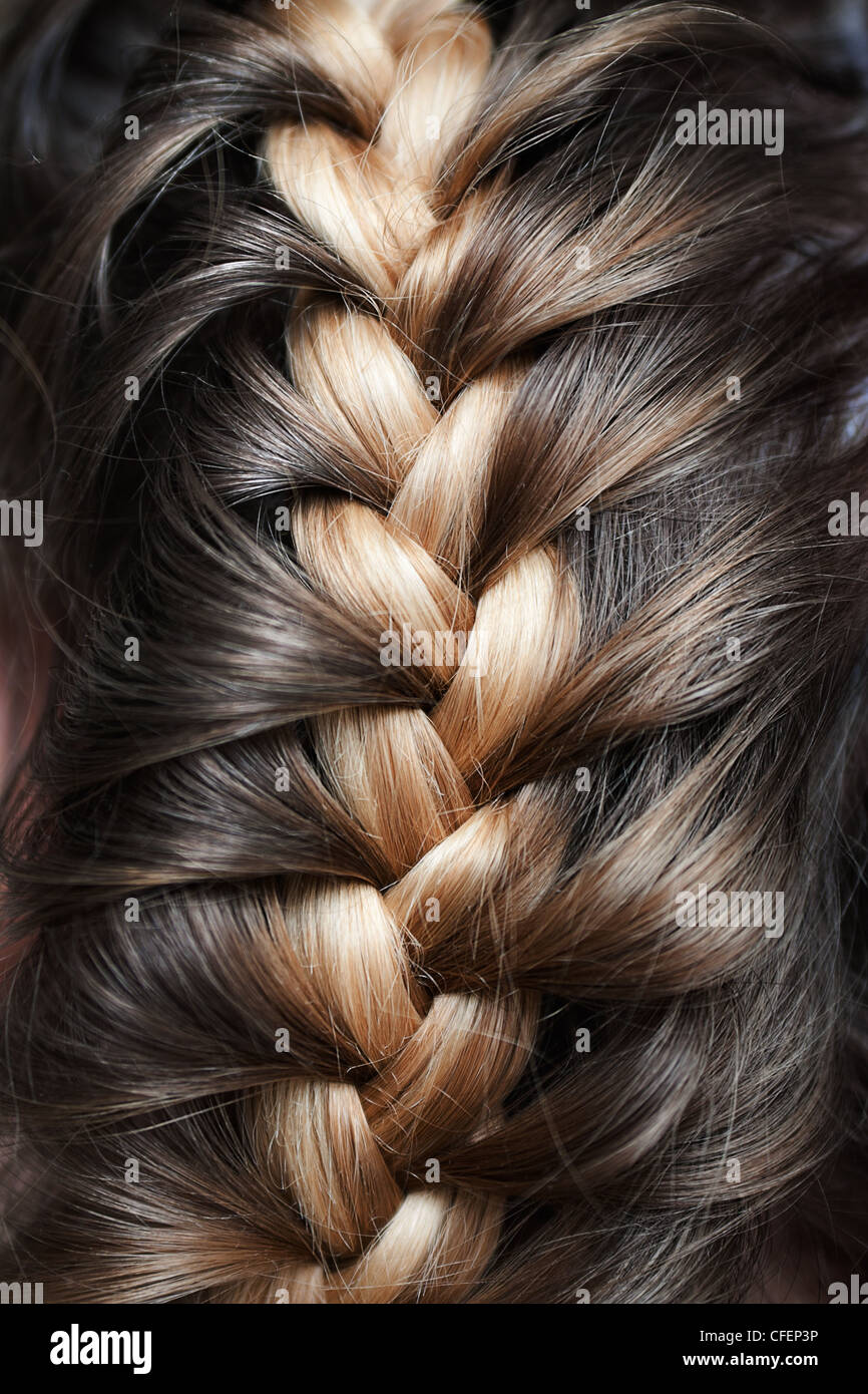 One of the two braids "dragon", braided on the head of the girl Stock ...