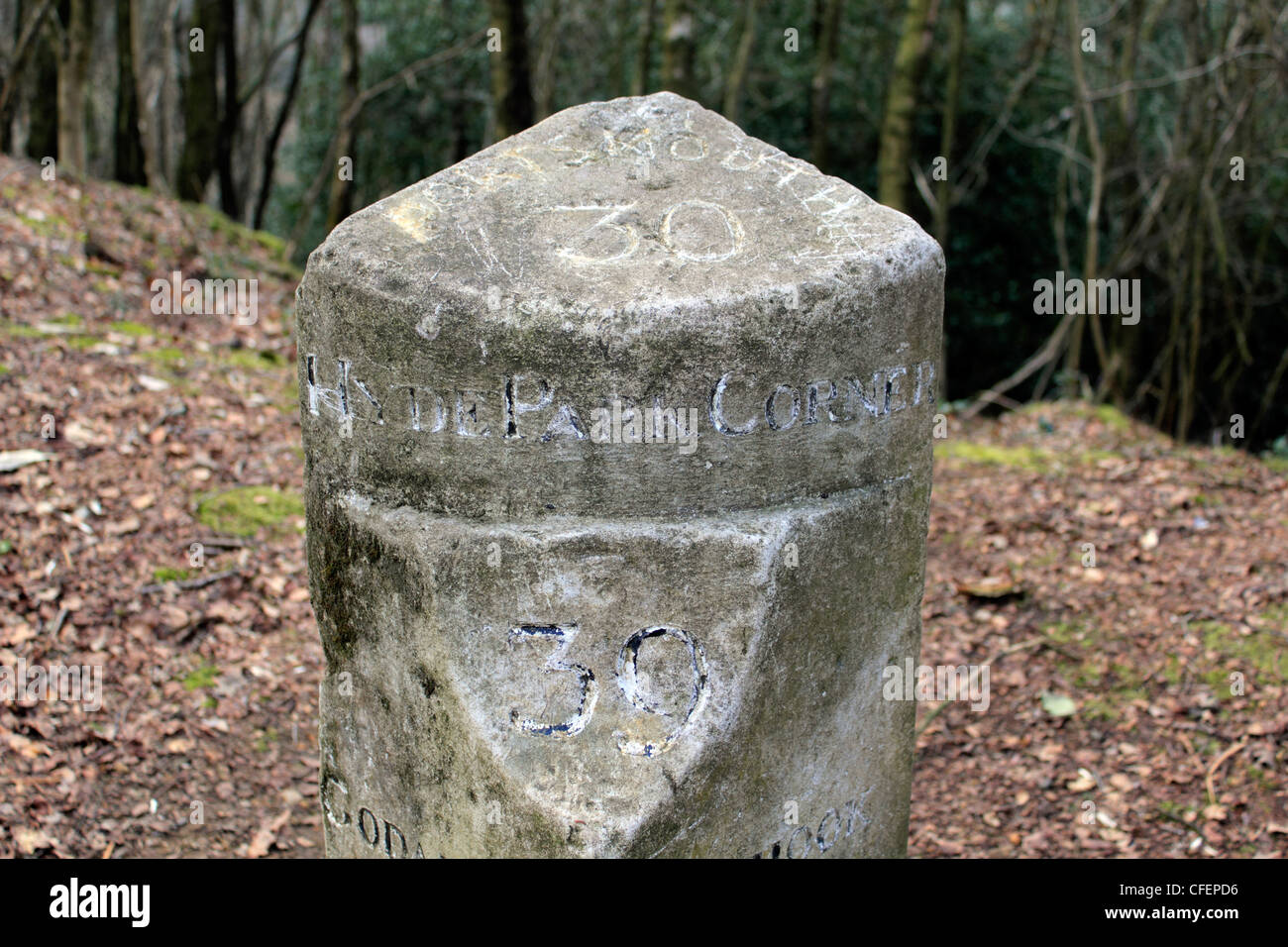 Milestone marker on route of the old London to Portsmouth road managed ...
