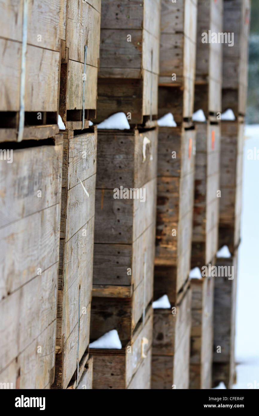 Row of stacked apple boxes Stock Photo - Alamy