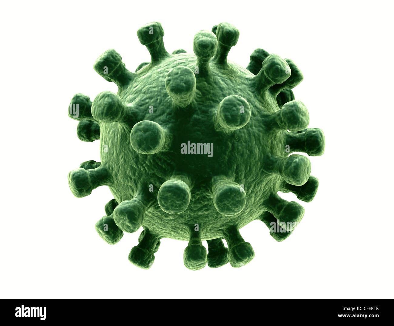 Single bacteria cell 3d model hi-res stock photography and images - Alamy