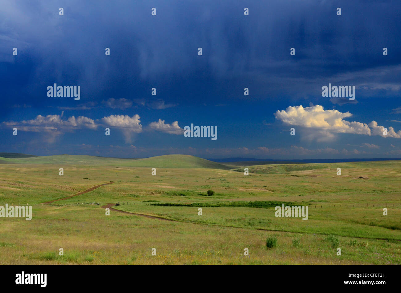 Prairie grassland zumwalt prairie preserve hi-res stock photography and ...