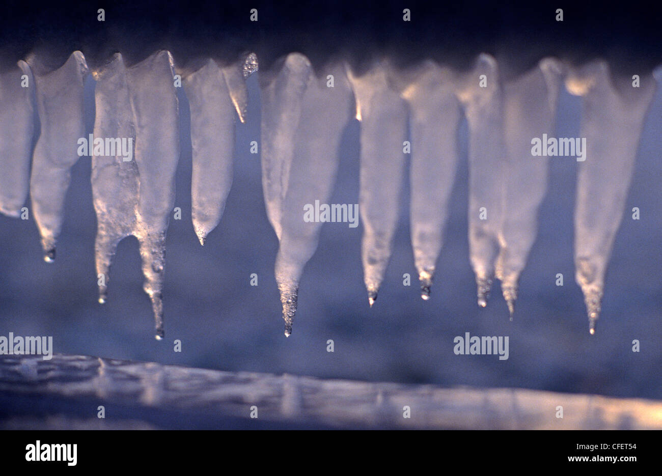 Winter scene with icicles hanging from park bench West Seattle park ...