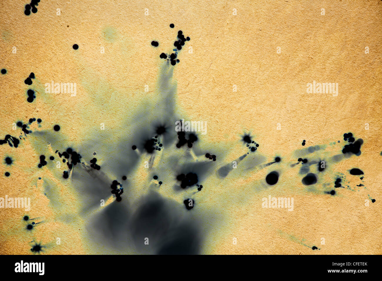 Ink blot vintage writing hi-res stock photography and images - Alamy