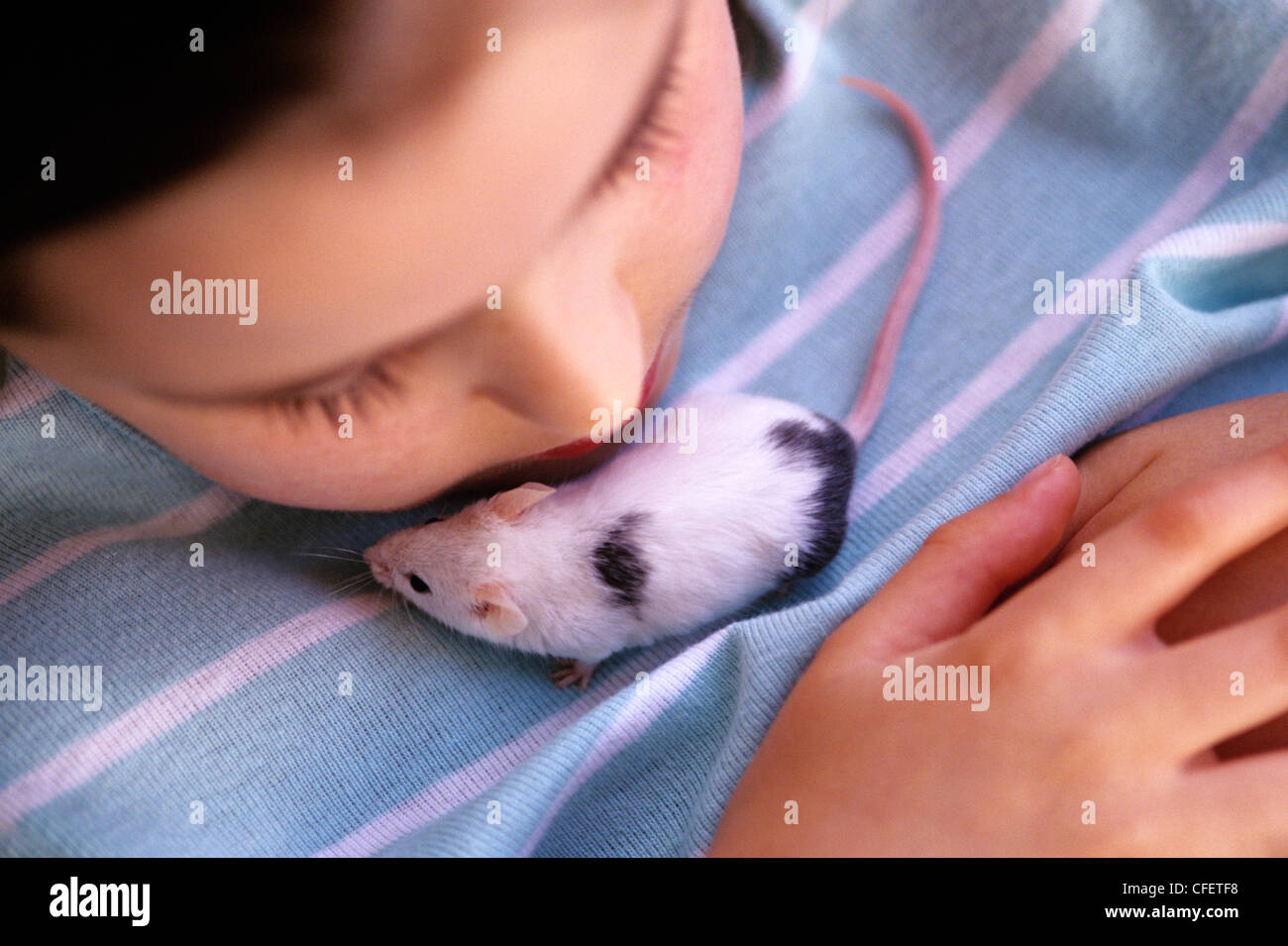 Mouse on shoulder hi-res stock photography and images - Alamy