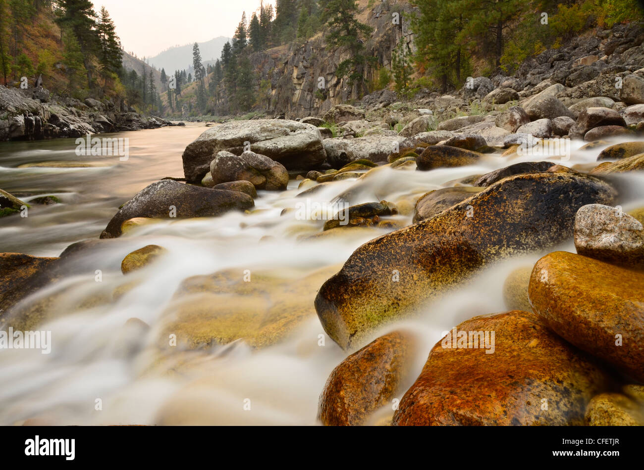 Bear Creek flowing into Idaho's South Fork of the Salmon River Stock ...