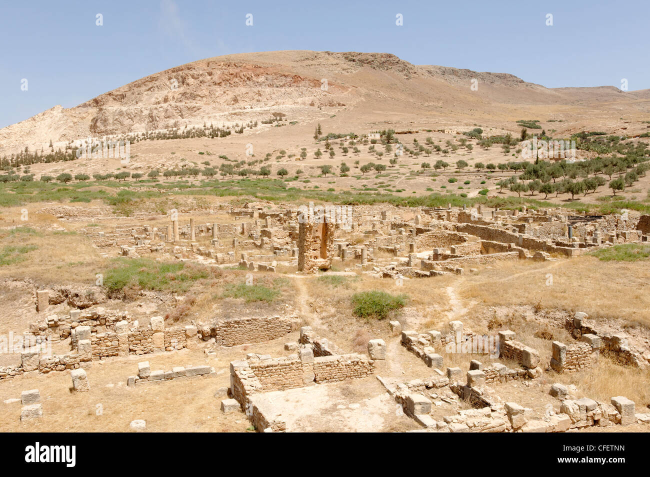 Regia rome hi-res stock photography and images - Alamy