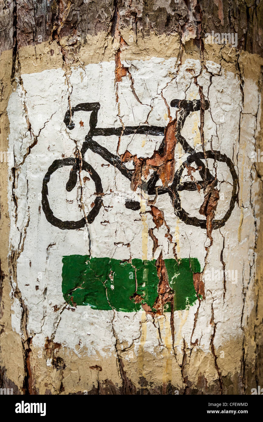 Bicycle symbol on the tree as tourist track Stock Photo - Alamy